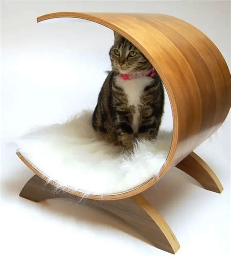 Acess Rios Para Gatos Animais Cultura Mix