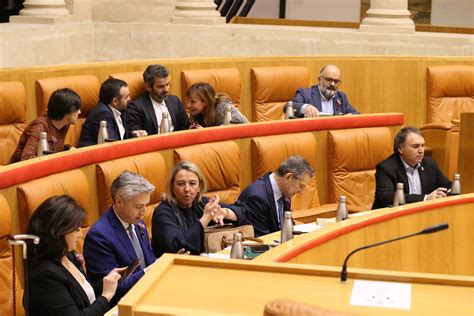 Fotos Pleno Del Parlamento Riojano 050320 La Rioja