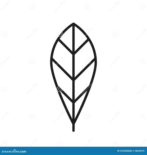 Spatulate Leaf Stock Illustrations 8 Spatulate Leaf Stock