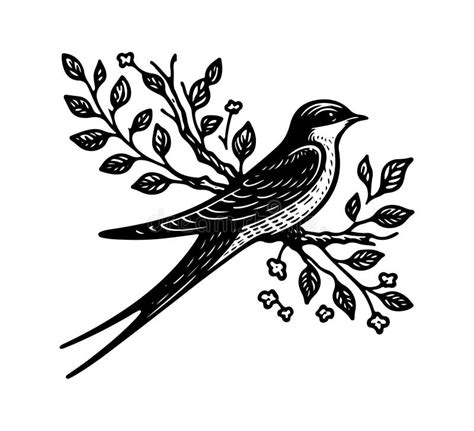 Swift Bird Hand Drawn Vintage Vector Stock Vector Illustration Of