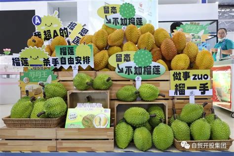 共享新机遇 携手向未来 自贸开投集团参展第19届中国东盟博览会 广西自贸区钦州港片区开发投资集团有限责任公司