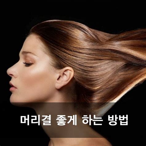 머리결 좋게 하는 방법 네이버 블로그
