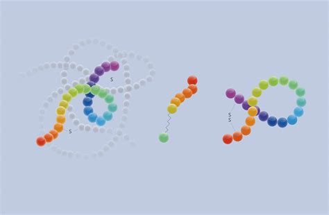 Custom Peptide Synthesis Services By Medchem Express