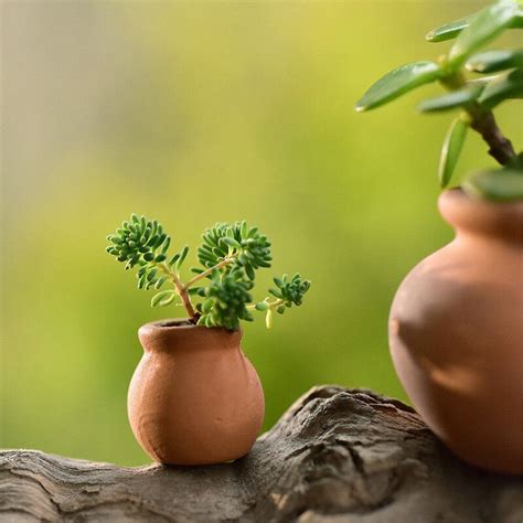 2pcs Mini Terracotta Pot Clay Ceramic Pottery Plan Vicedeal