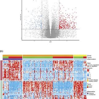 A Volcano Plots For The Differentially Expressed Genes In The