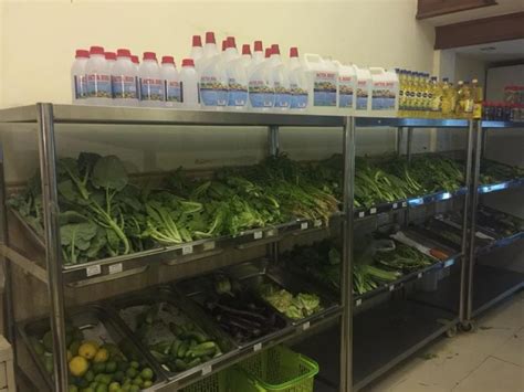 បន្លែ ឆៅ ដែលមាន ប្រយោជន៍ ច្រើន លើសលប់ ដល់ សុខភាព តែ ពលរដ្ឋ បែរជា មិន ហ៊ាន បរិភោគ Thmey Thmey 25