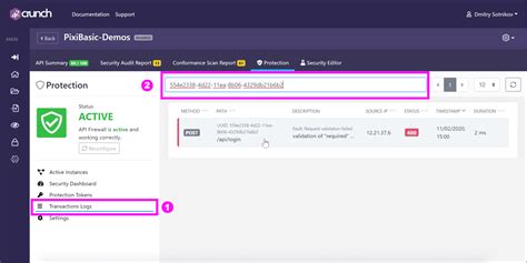 Api Protection Security Reports Explained