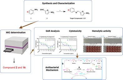 Design And Synthesis Of Novel Nitrofurantoin Derivatives As