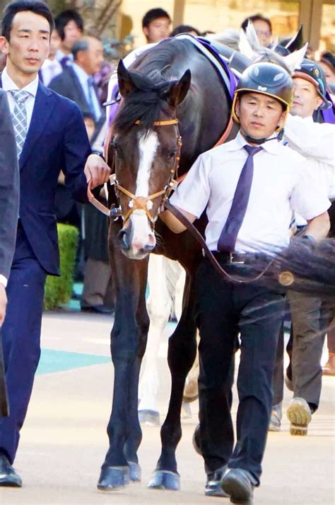 10月29日東京競馬⭐︎天皇賞・秋⭐︎ダノンベルーガ 公式：黒澤ひかりのキラキラ日記～magic Kiss Lovers Only～
