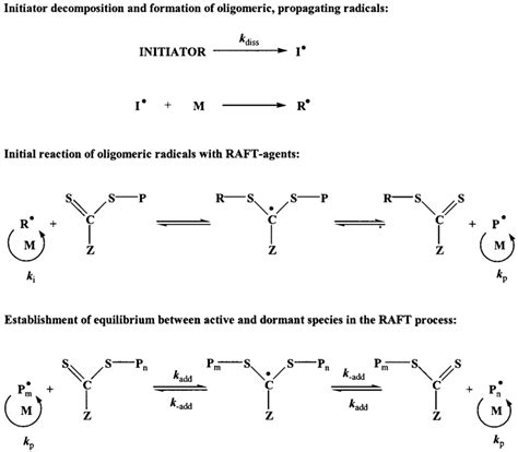 Scheme 1 Elementary Reactions Of The Raft Process Download Scientific Diagram