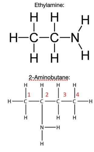62 Nitrogen Compounds Polymers And Synthesis Flashcards Quizlet