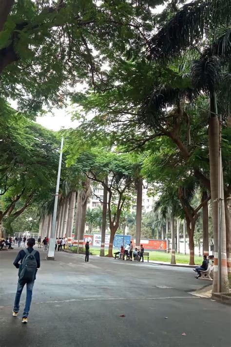 Jspm University Pune Placement 2025 Highest Package Average Package