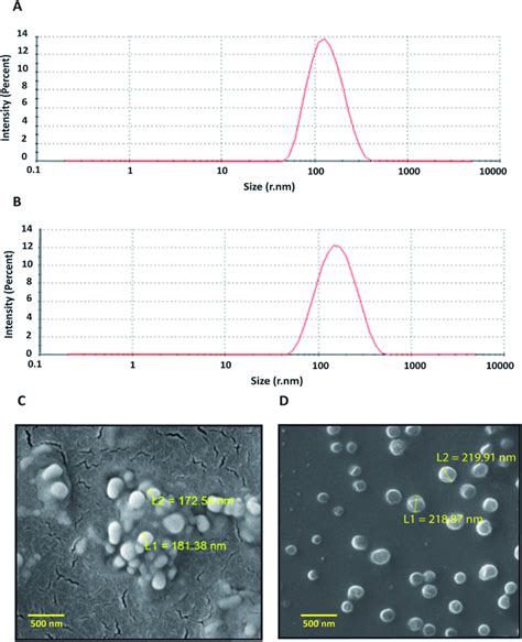 Characterization Of Artemisinin Loaded Nanoparticles A Particle Size Download Scientific