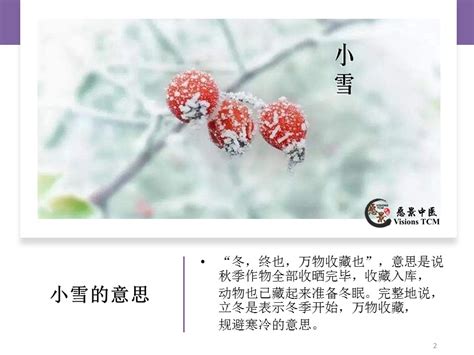 【二十四节气 小雪 中医养生】22112021 愿景中医 Visions Tcm