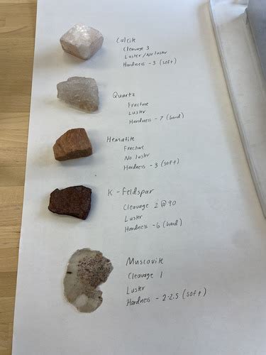 Mineral Rock Classification Sedimentary Flashcards Quizlet