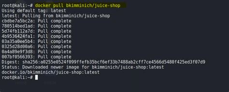 Install Owasp Juice Shop On Kali Linux Guide For Burp Suite Security Cipher