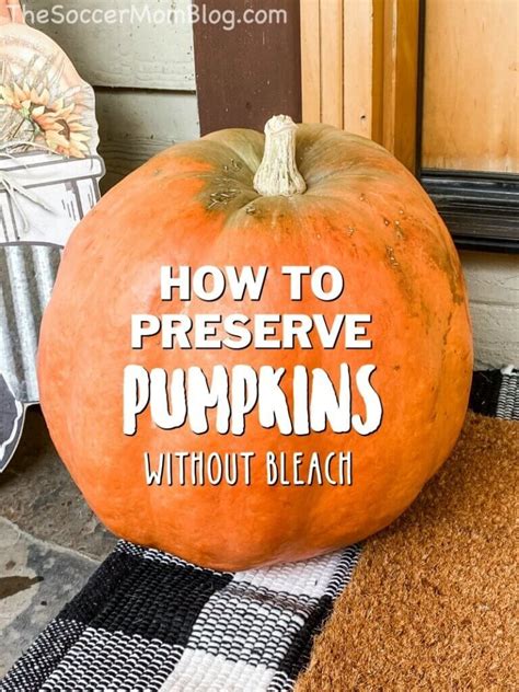 How To Make Painted Pumpkins Last Longer Artofit