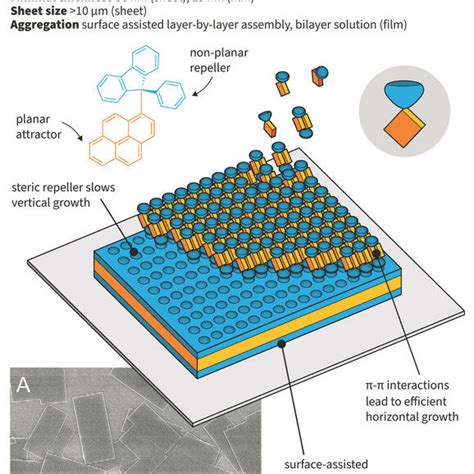 Schematic Representation Of A Lipid Bilayer Mimic Reported By Huang And