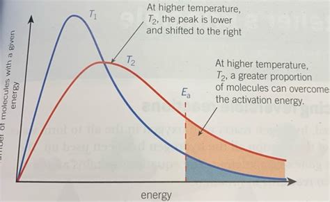 C Reaction Rates And Equilibrium Flashcards Quizlet