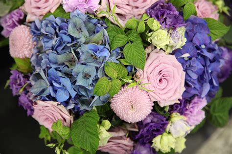 핑크 장미 푸른 수국 진홍색 잎 Lysianthus 꽃의 화려한 꽃다발과 가지 0명에 대한 스톡 사진 및 기타 이미지 0명