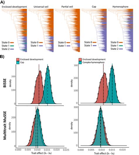 A Maximum Parsimony Ancestral Reconstruction Of Five Morphological 451
