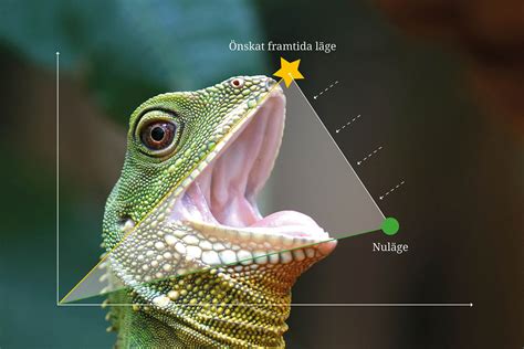 Gap Analys Byråteket