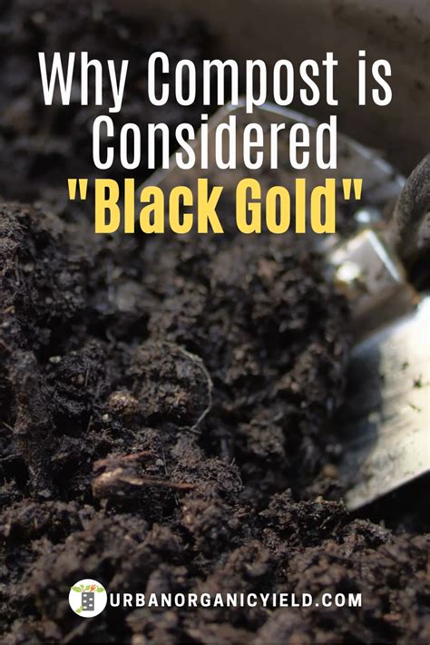 Vermicomposting For Beginners Artofit