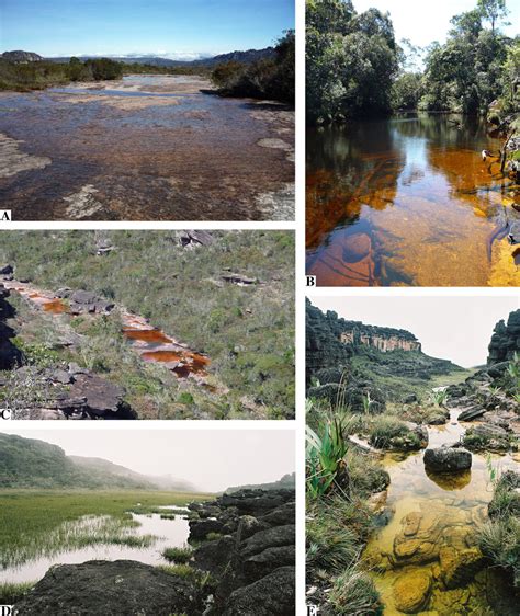 Mount Roraima Pools