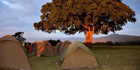 6 Day Adventure Camping Safari LAKE MANYARA NAITONAL PARK TARANGIRE