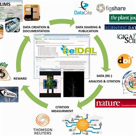 The Data Publication Process This Flowchart Illustrates The Several