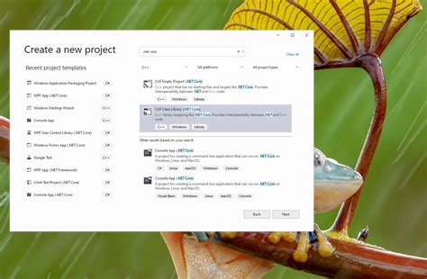 TargetPlatformIdentifier Is Not Inferred For NET Core C CLI Projects Prevents Successful