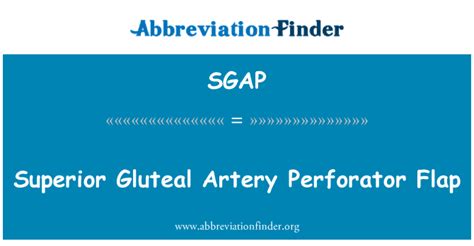 Sgap Significa Artéria Glútea Superior Perforator Flap Superior