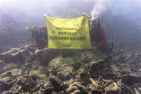 Laporan Kerusakan Terumbu Karang Karimunjawa Greenpeace Indonesia