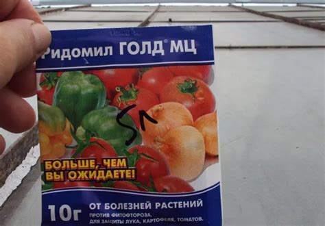 «Ридомил Голд для винограда описание хранение и инструкция по применению