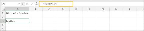 Top 12 Excel Lookup Functions Free Cheatsheet