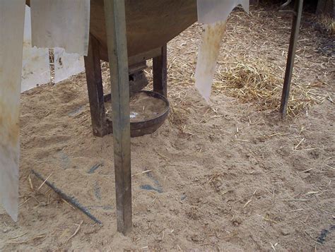 Improving Feed Efficiency In Pigs AHDB