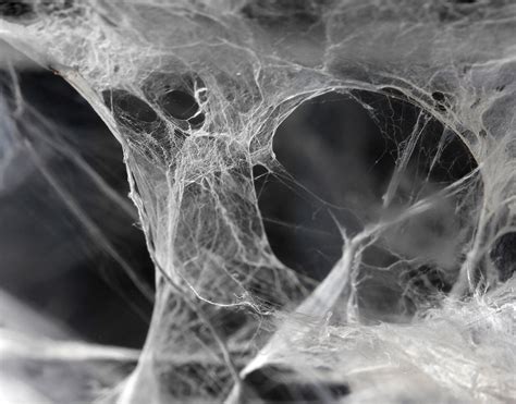 urban morphogenesis lab