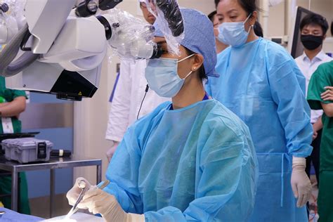 Conference Microvascular Surgery Workshop