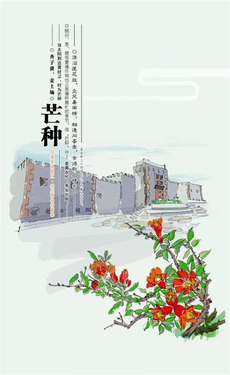 芒種夏方至石榴花開艷 每日頭條