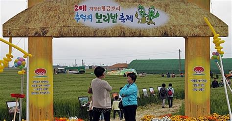 김제 추억의 보리밭축제 어디부터 갈까
