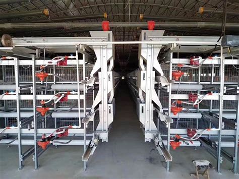 养鸡自动喂料设备生产厂家养鸡自动饮水设备生产厂家养鸭自动喂料设备生产厂家 山东华邦农牧机械股份有限公司咨询热线400 0151 001