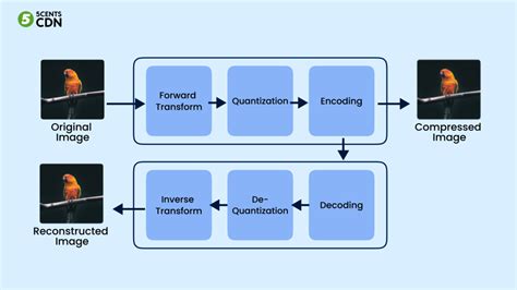 Adaptive Image Compression An Innovative Way To Enhance Image Quality