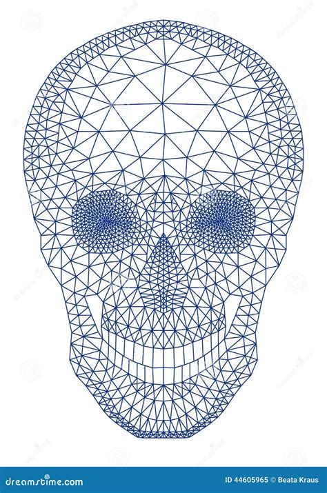 Skull With Geometric Pattern Vector Stock Vector Illustration Of