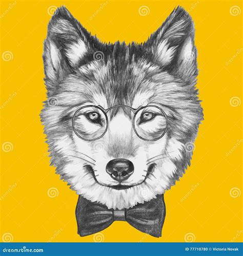 Portrait Of Wolf With Glasses And Bow Tie Stock Vector Illustration