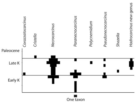 —spindle Diagram Of Total Number Of Species Per Genus Of Download