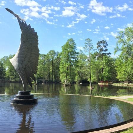 Swan Lake Iris Gardens Pictures Fasci Garden