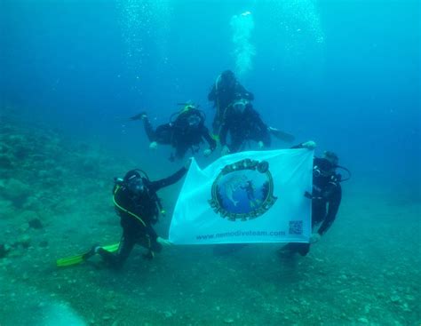 Nemo Dive Team Flag