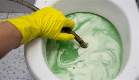 Toilet Overflow Cleanup Repair In Boston Ma First Response