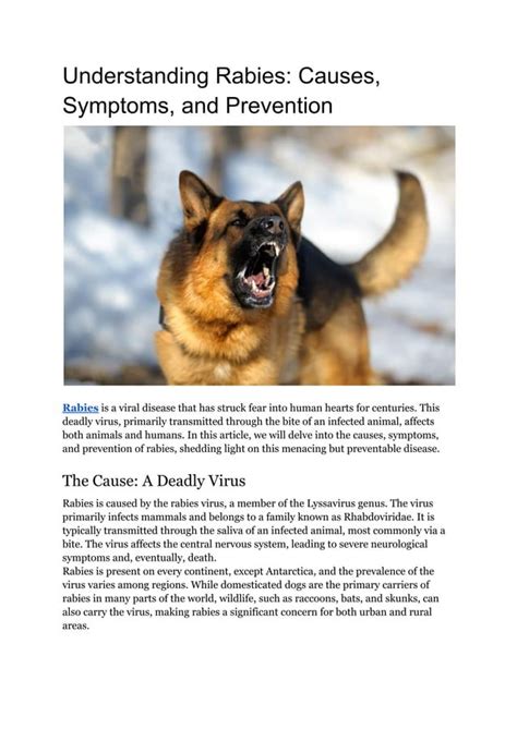Understanding Rabies Causes Symptoms And Prevention Pdf Infectious Diseases Diseases