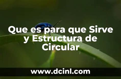 Que Es Para Que Sirve Y Estructura De Circular Ejemplos